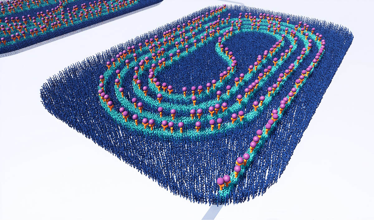 PHOTO-SENS, a photonic biosensing platform - PHIX Photonics Assembly